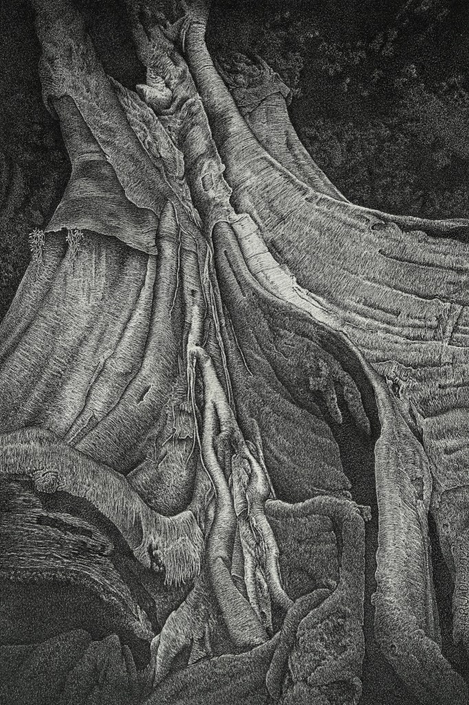White Wood Limited Edition Print - Sawidji Archives - Ink Drawing