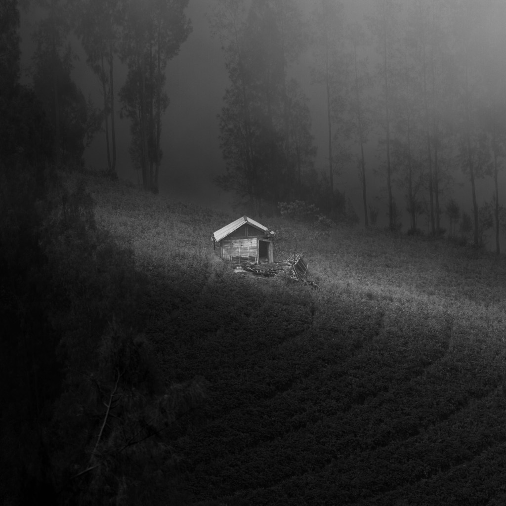 Solitude in Black and White in Black and White - Sawidji Gallery