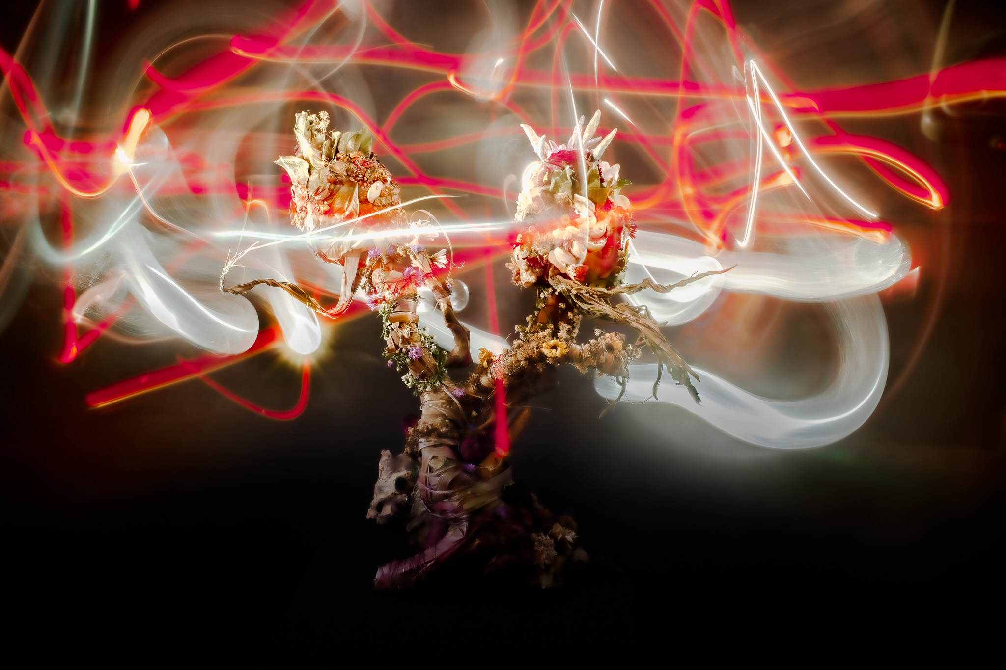 Indomitable ReGeneration 04 - Sawidji Gallery